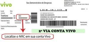 2 Via Conta Vivo - Consultar, Emissão, Imprimir | IEF Notícias
